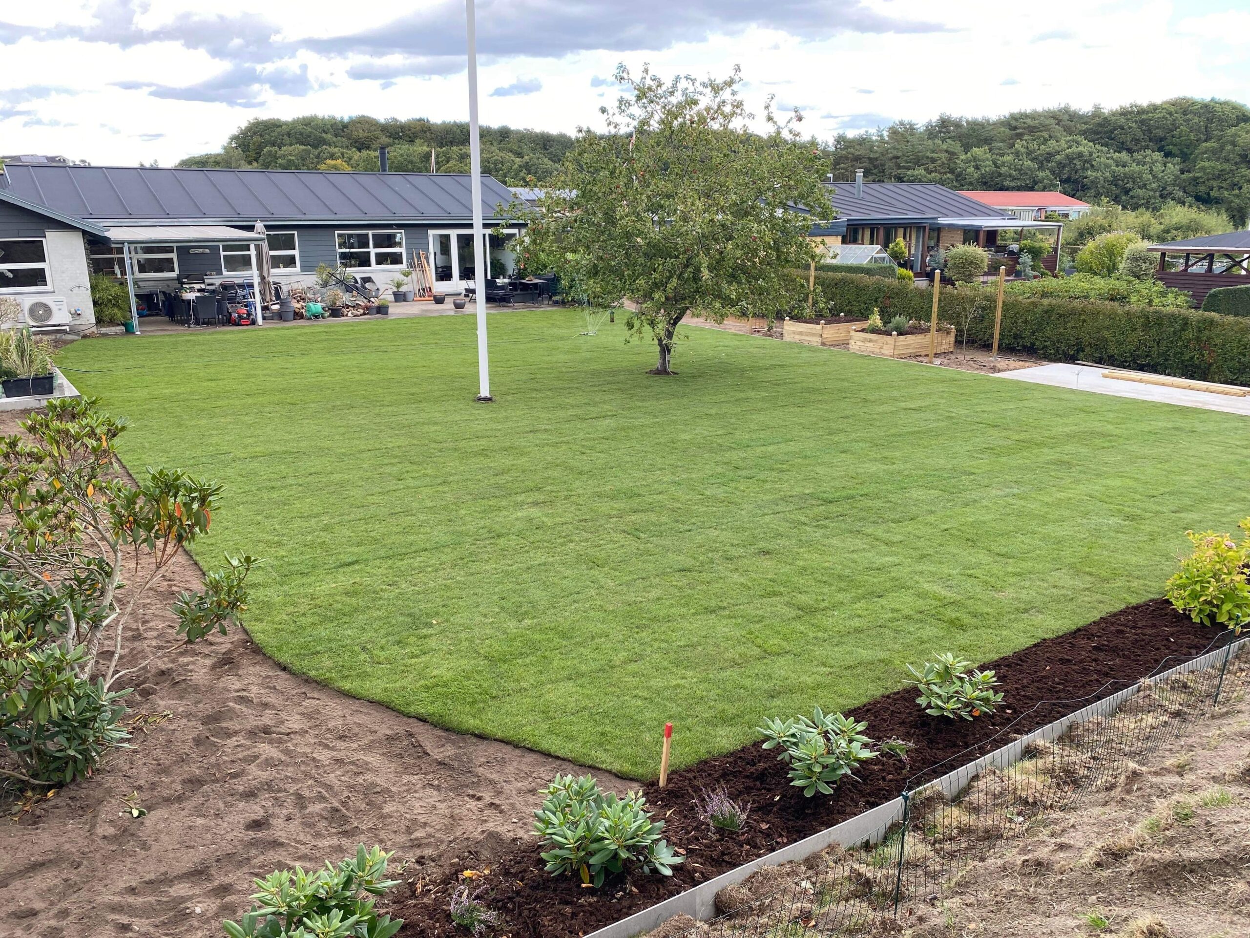 Etablering af græsplæne - Favrskov Havepleje ApS